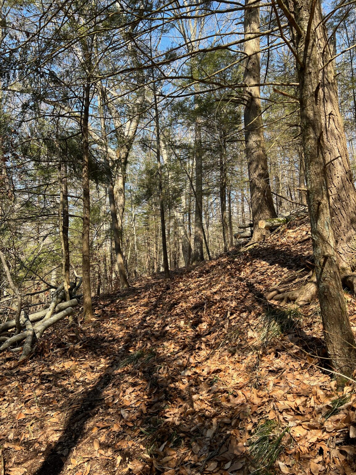 Gallery – Tyler Mill