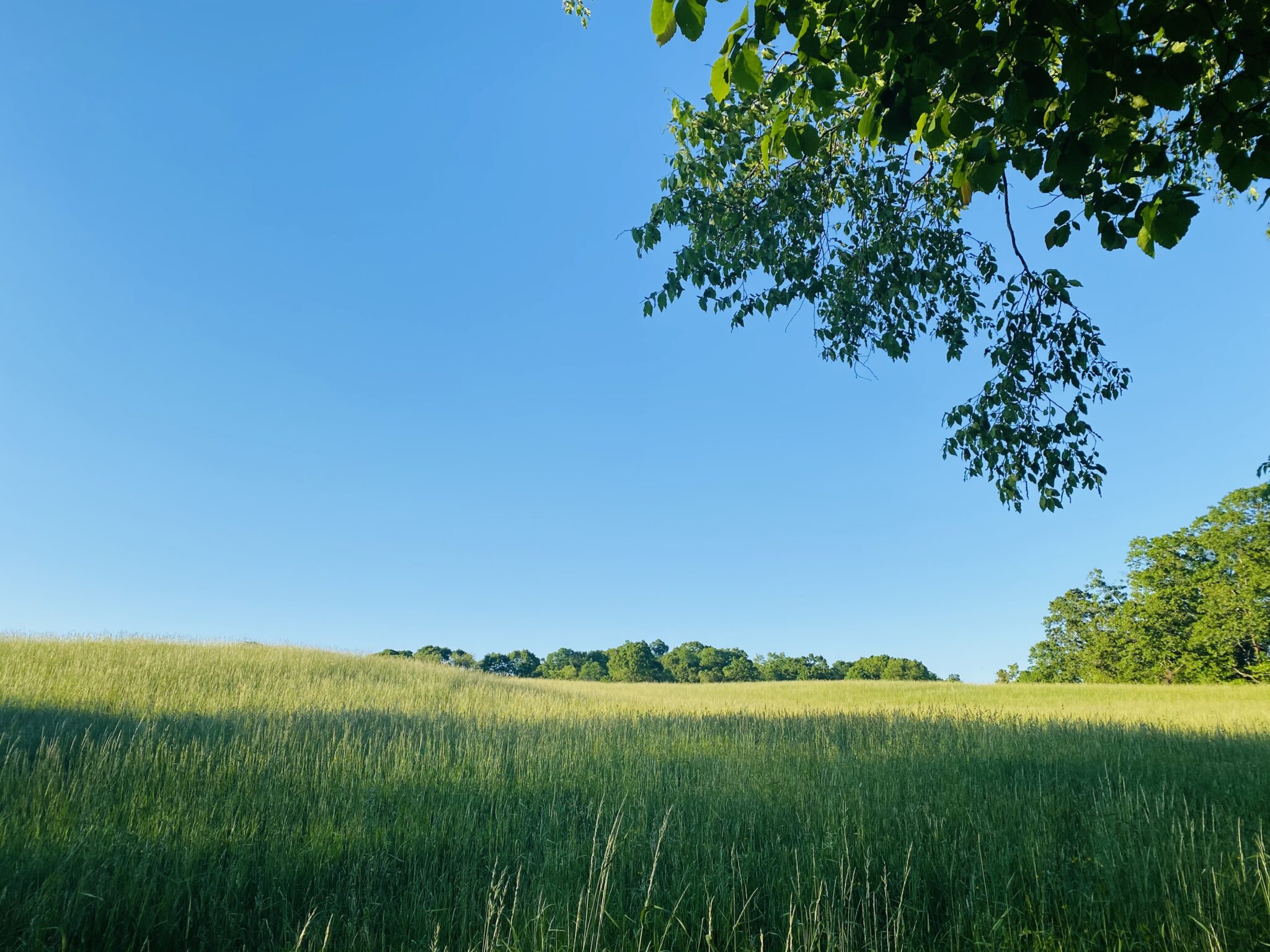 Gallery – Tyler Mill