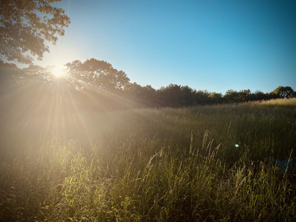 Gallery – Tyler Mill