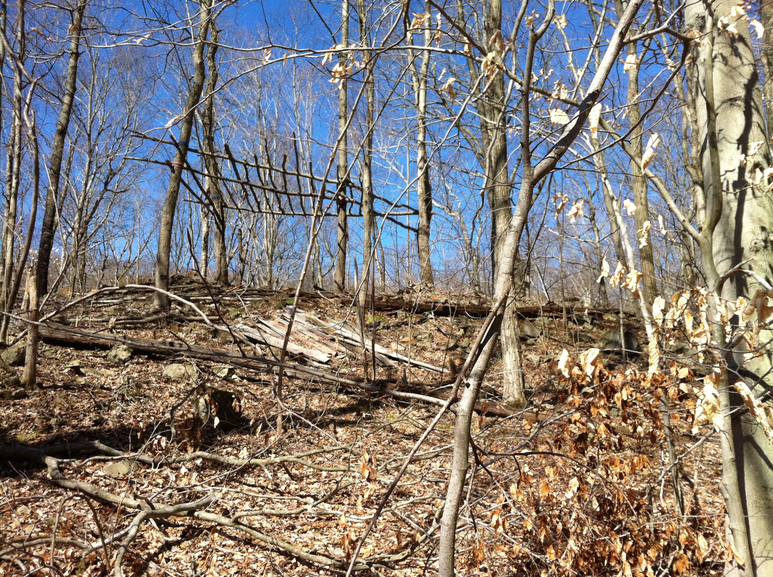 Gallery – Tyler Mill