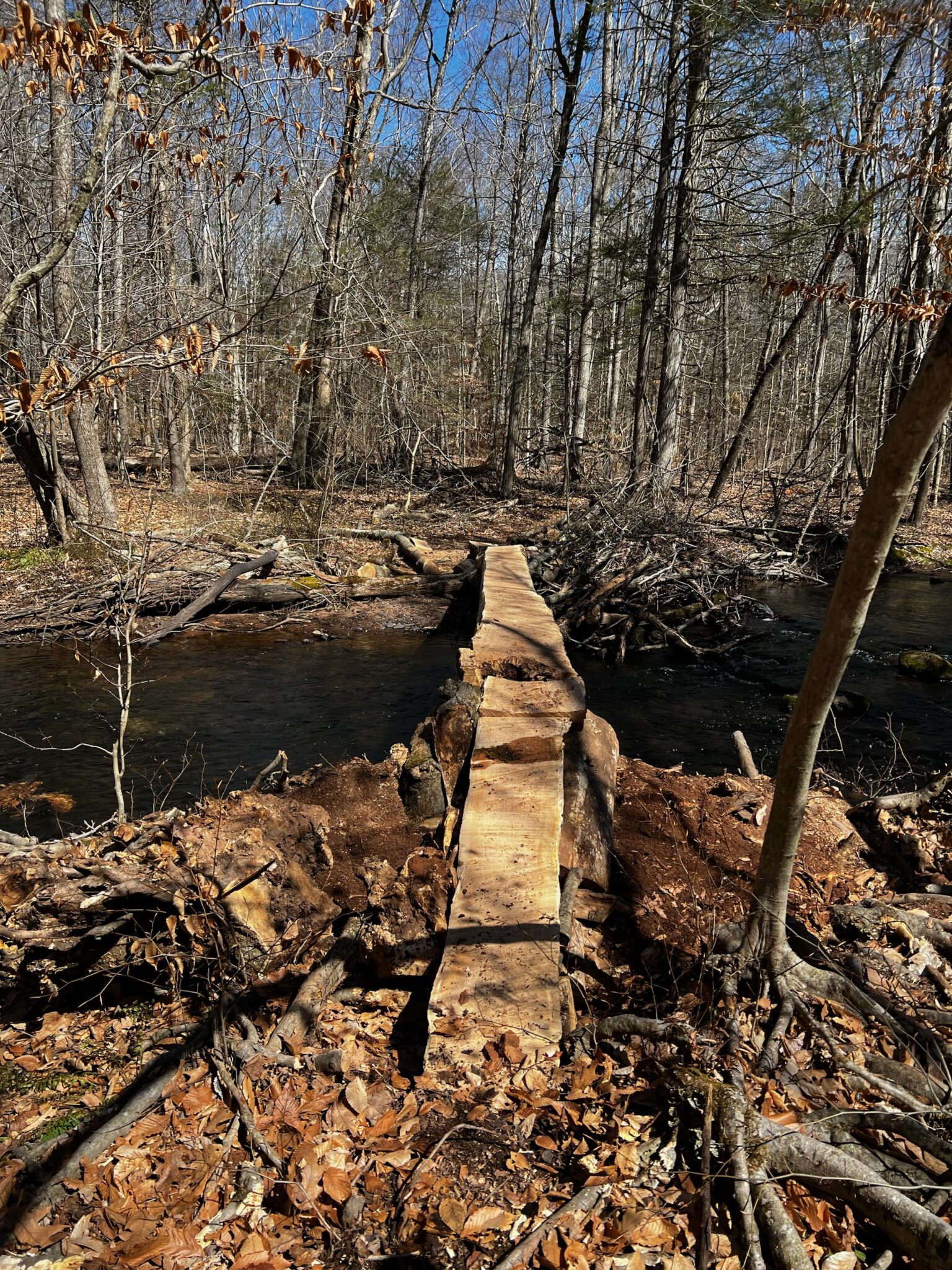 Gallery – Tyler Mill