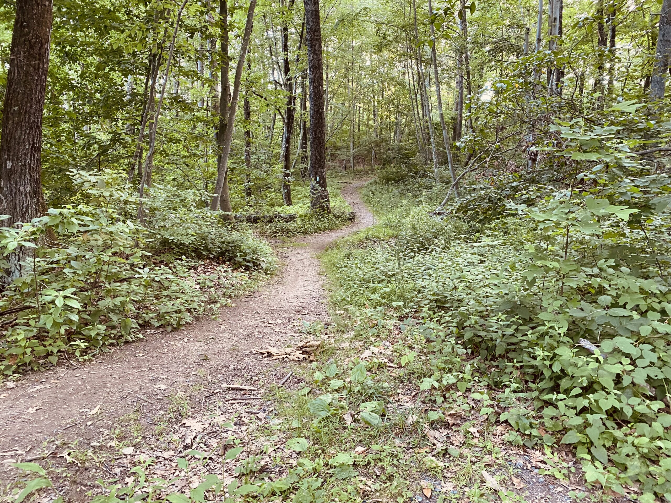 Gallery – Tyler Mill
