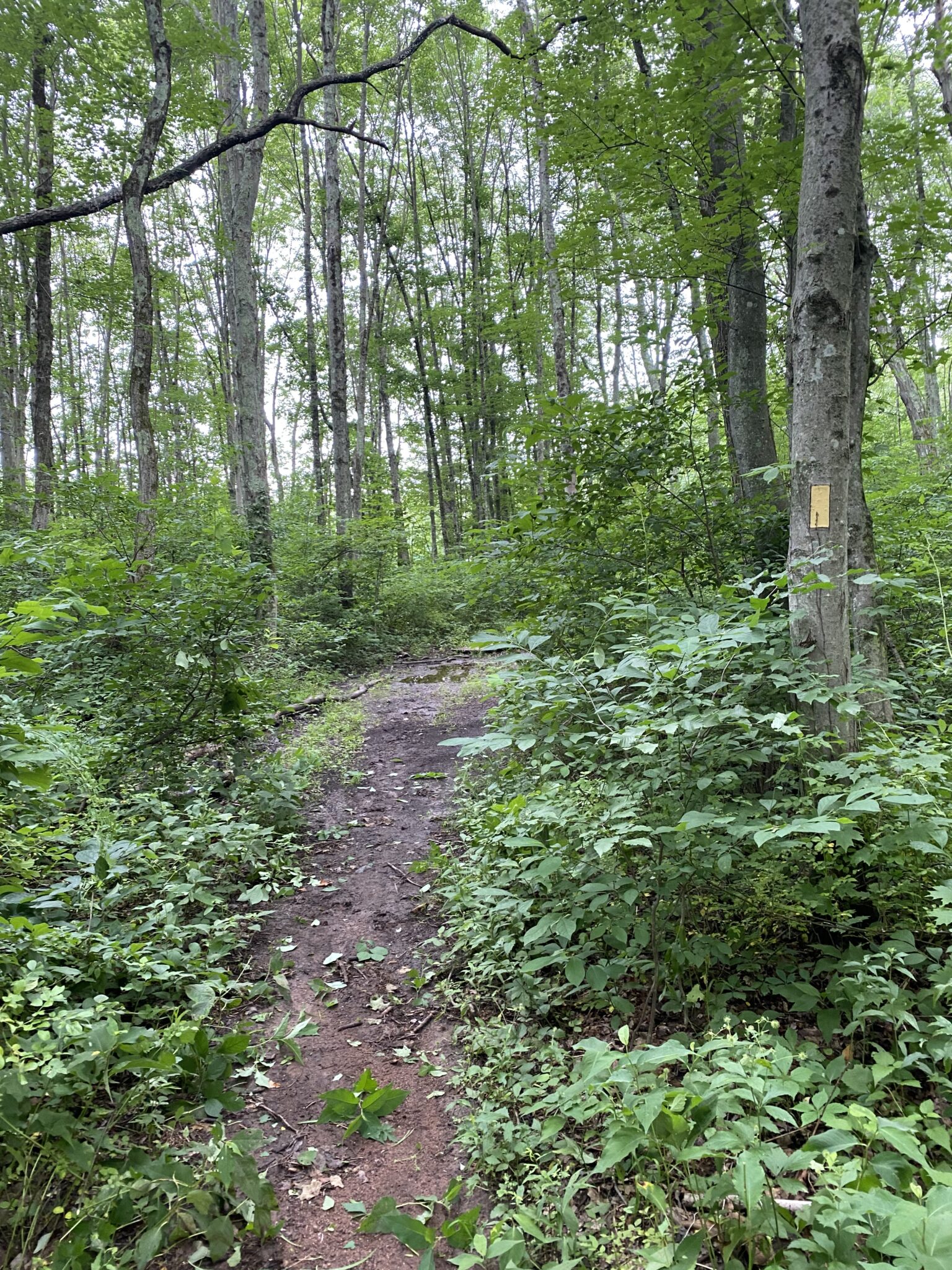 Gallery – Tyler Mill