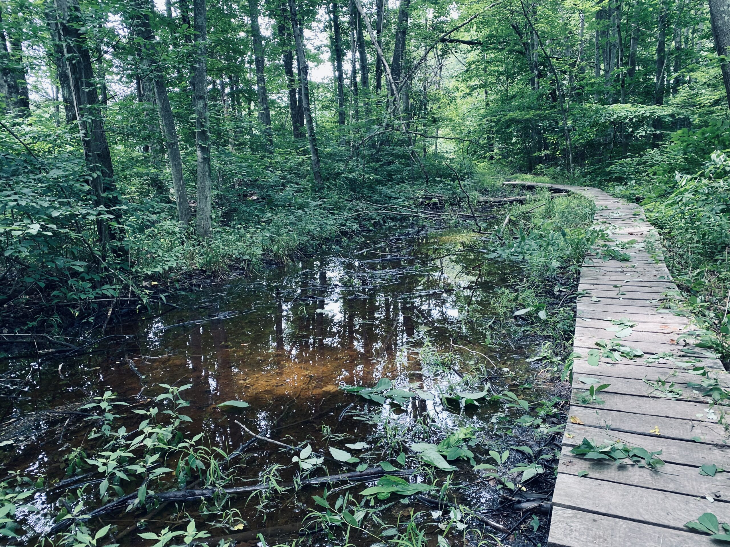 Gallery – Tyler Mill