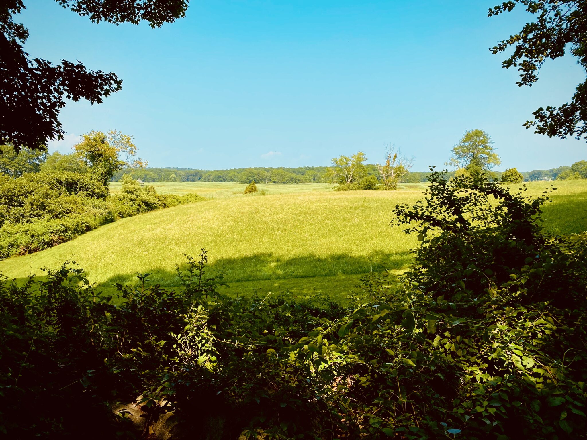 Gallery – Tyler Mill