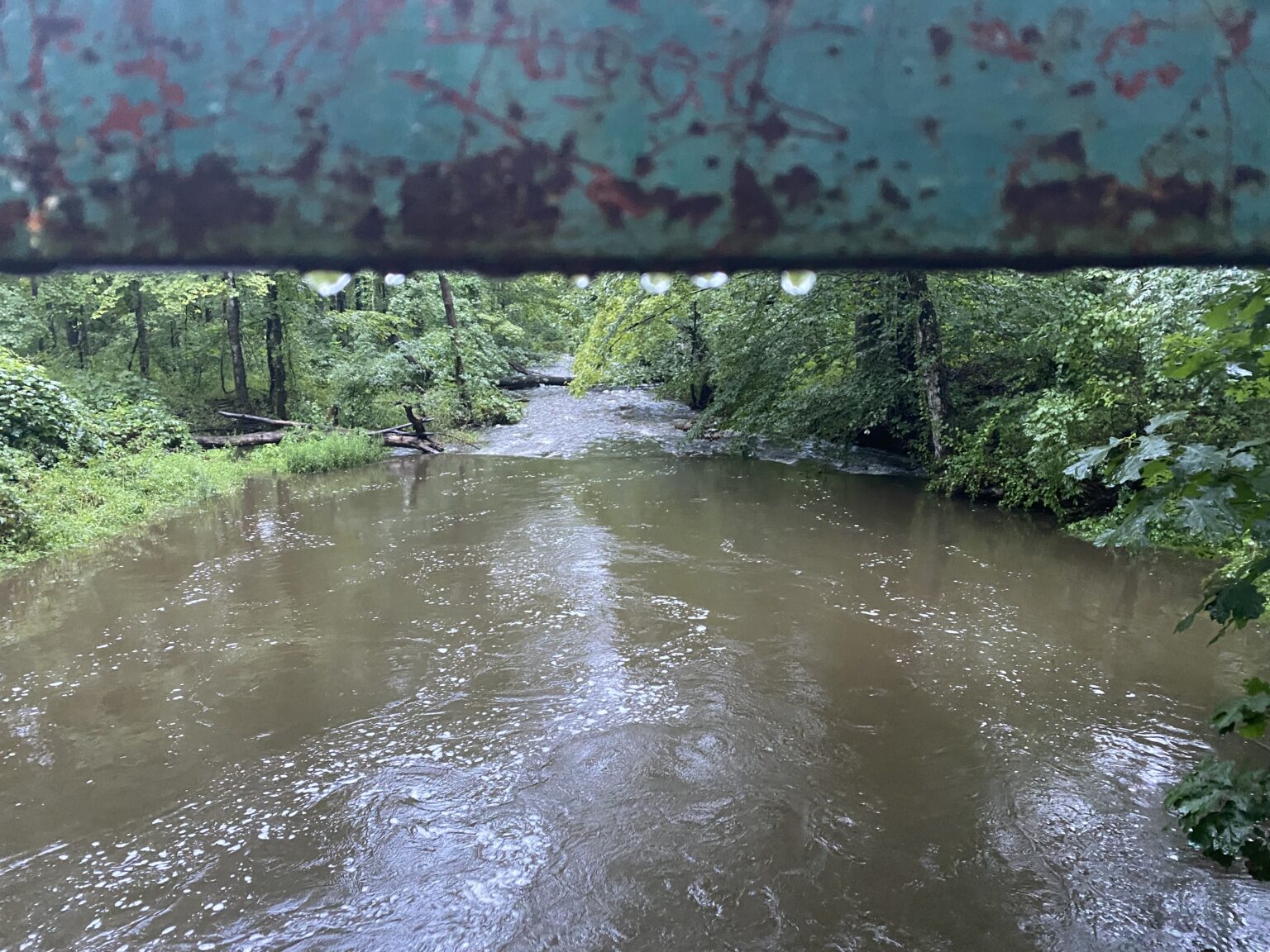 Gallery – Tyler Mill