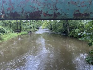 Gallery – Tyler Mill